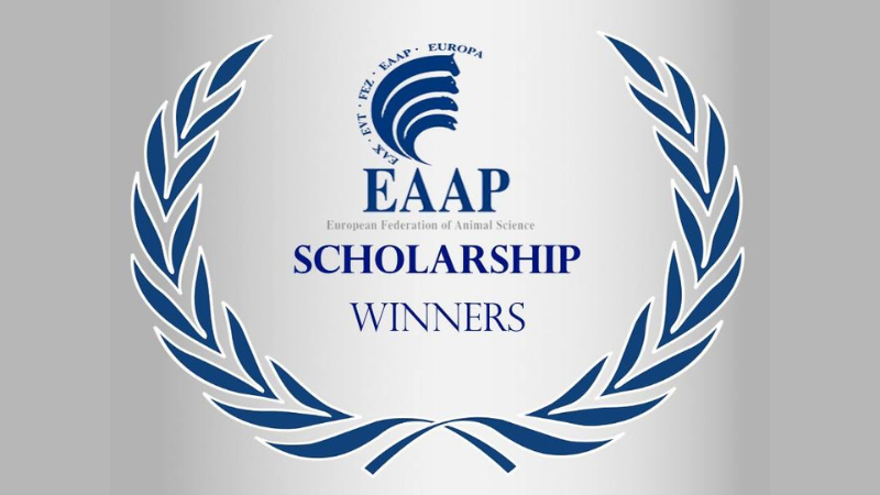 EAAP Scholarship winners 2024 – EAAP